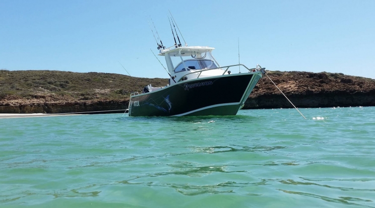 Tomahawk Gallery | Formosa Marine